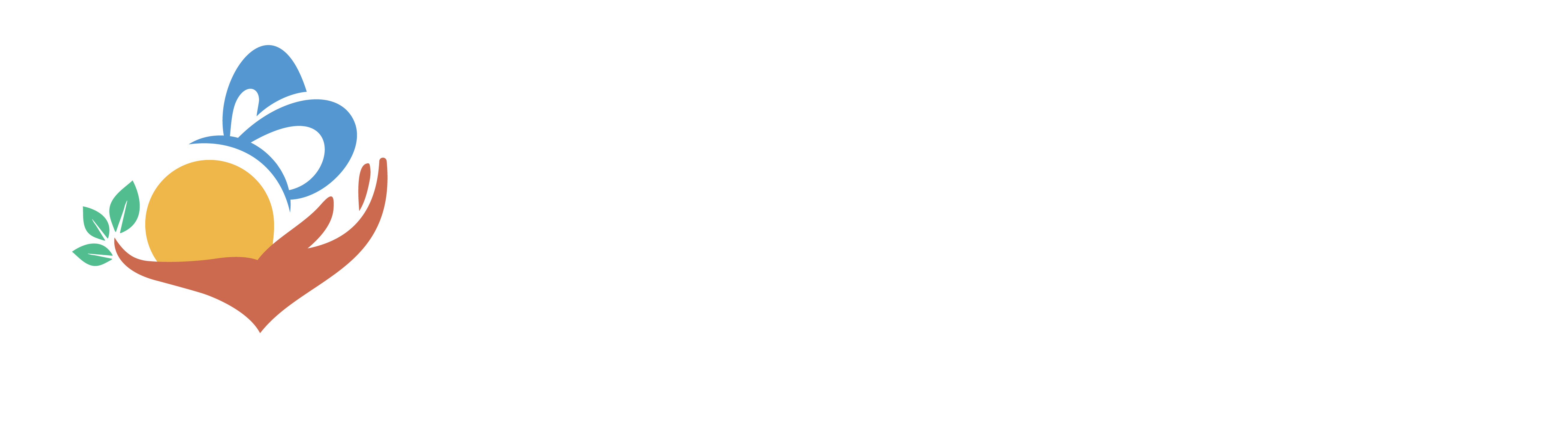 Neurodiversity-Affirming Care for Providers: Supporting Neurodivergent ...
